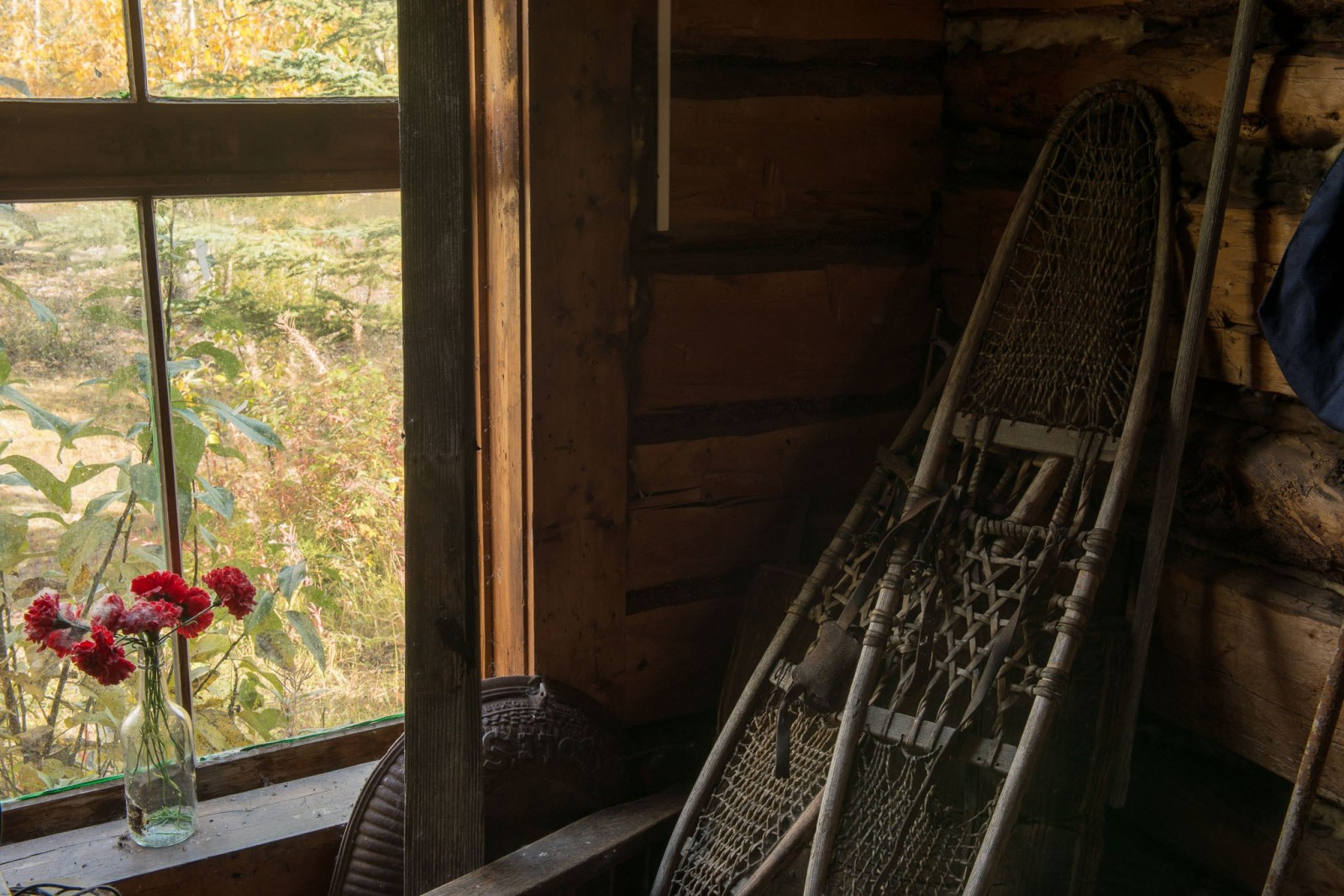 Here’s Why an Alaskan Loves the Tiny Arctic Town of… | ALASKA.ORG