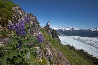 Prince William Sound, Alaska | Cruises, Itineraries &… | ALASKA.ORG
