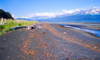 Tonsina Creek Trail | ALASKA.ORG