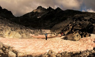 Snowbird Glacier | ALASKA.ORG