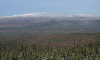 Black Spruce Dog Sledding | Summer & Winter Tours | ALASKA.ORG
