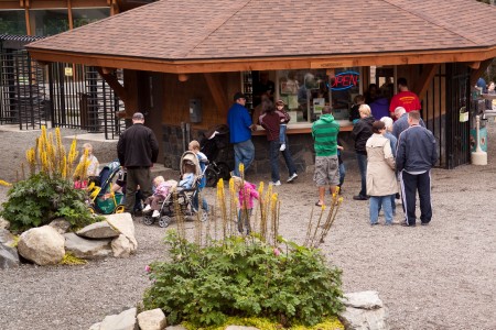 Alaska Zoo | Anchorage Attractions & Things To Do | ALASKA.ORG