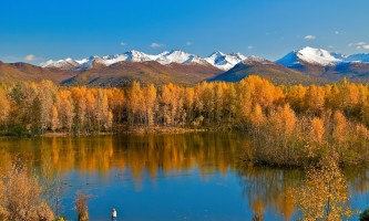 Springhill Suites Anchorage University Lake | Midtown… | ALASKA.ORG