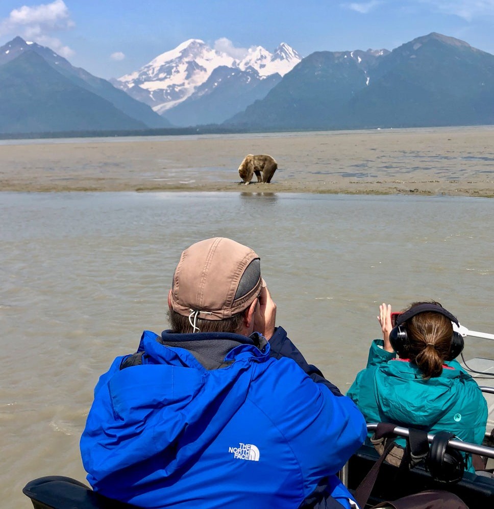 Alaska Bear Adventures | Bear-Viewing Day Tours | ALASKA.ORG