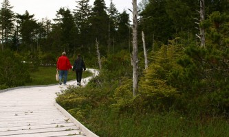 Alaska Raptor Center | Stop in Sitka and Learn About… | ALASKA.ORG