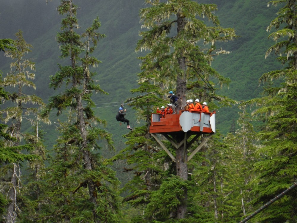 Alpine Zipline Adventure | Juneau, Alaska | ALASKA.ORG