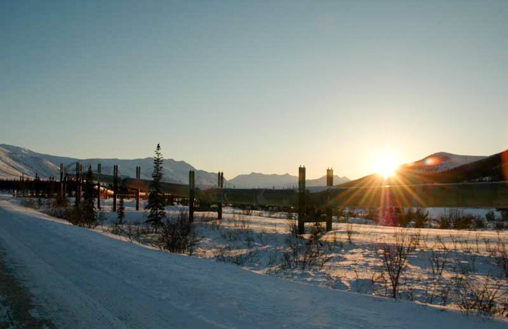 Northern Alaska Tour Company | Tour The Arctic From… | ALASKA.ORG