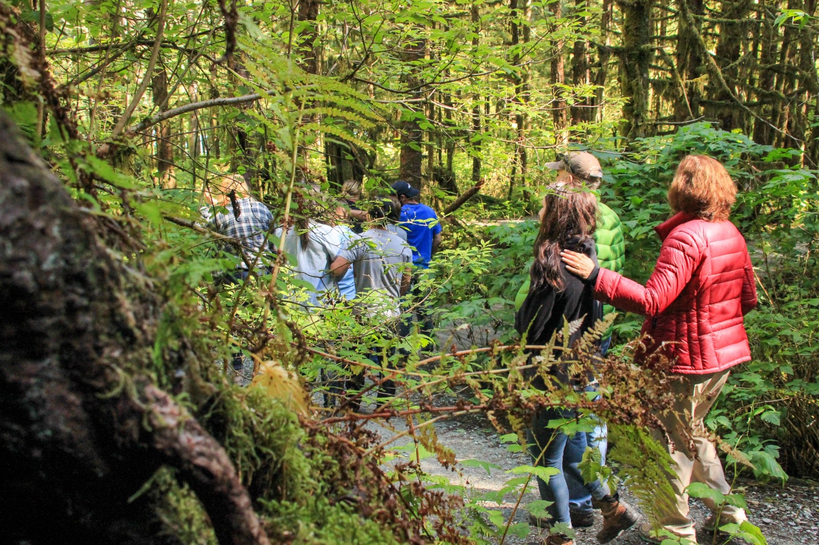 Rainforest Sanctuary, Totem Park & Eagles Tour |… | ALASKA.ORG