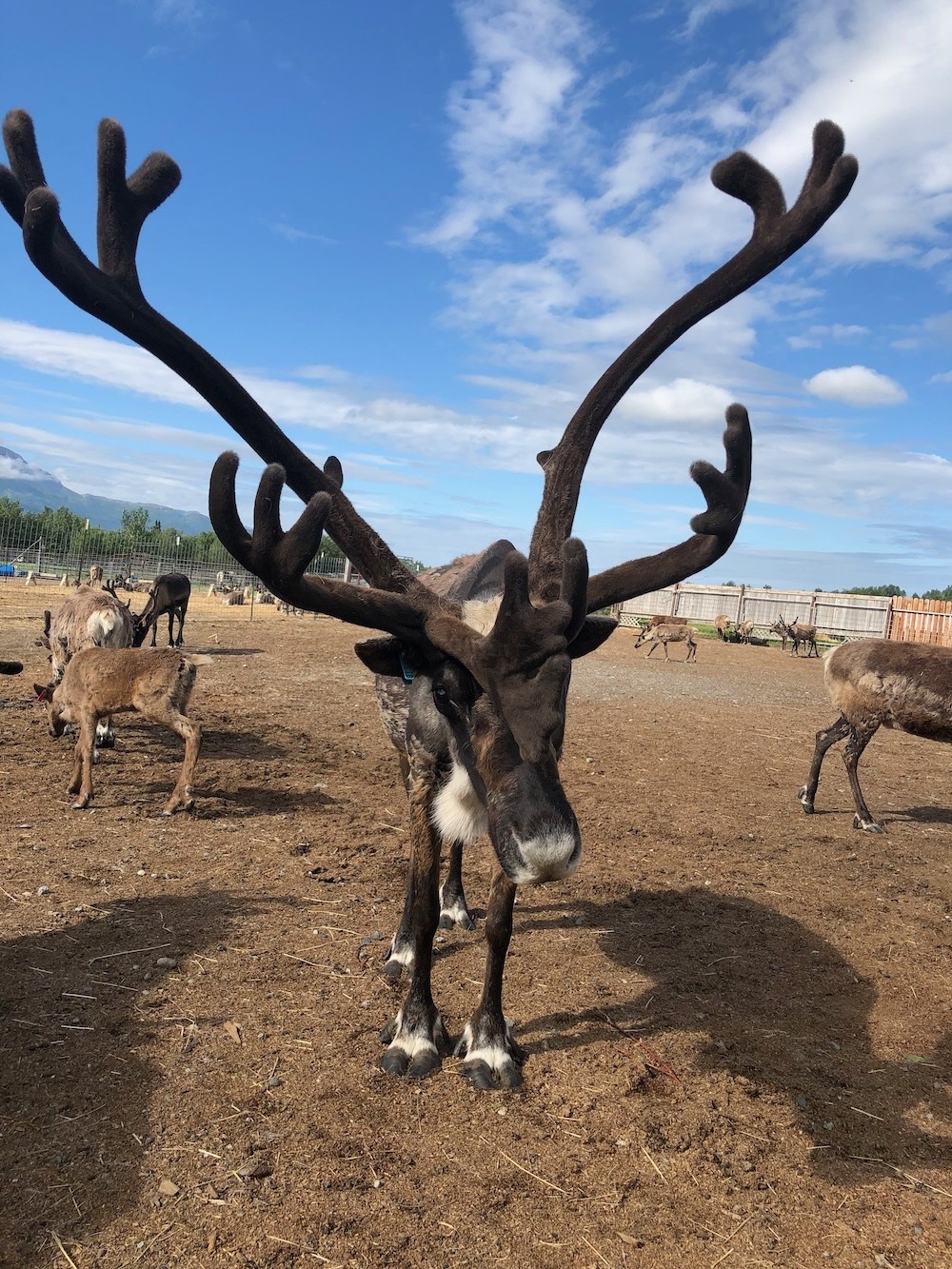 Alaska Vacations & Travel Advice from Trusted Alaskans | ALASKA.ORG