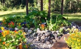 Kahiltna Birchworks | Alaska Birch Syrup and Wild… | ALASKA.ORG