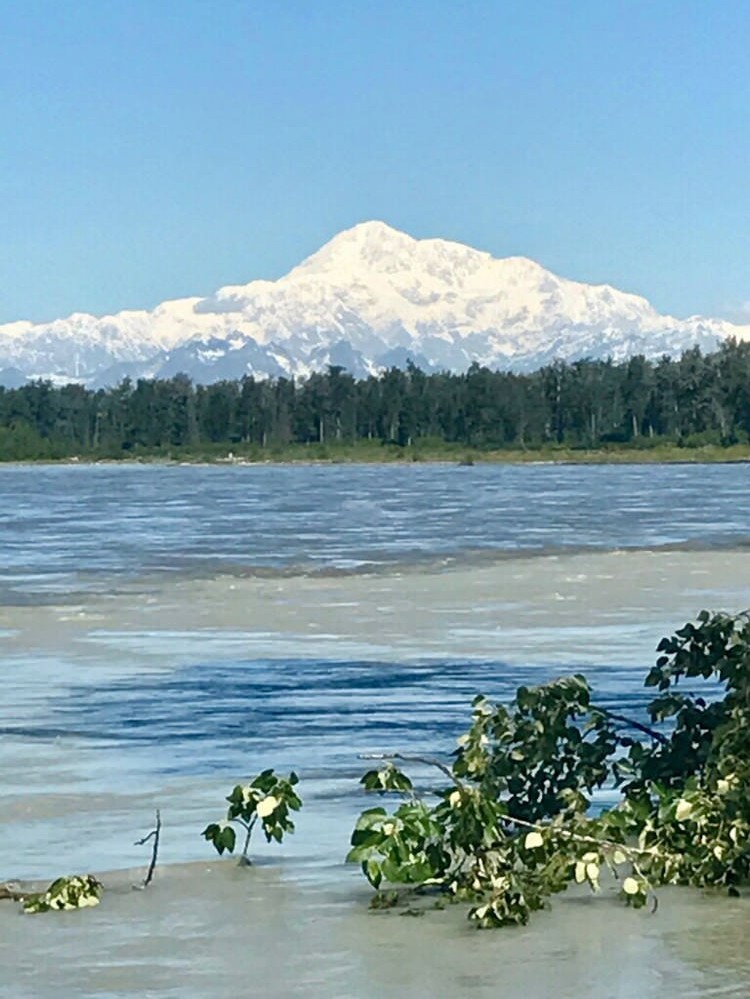 Kahiltna Birchworks | Alaska Birch Syrup and Wild… | ALASKA.ORG