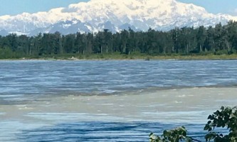 Kahiltna Birchworks | Alaska Birch Syrup and Wild… | ALASKA.ORG