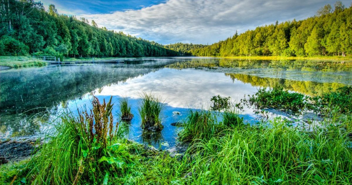 Anchorage's Best Sunny Day Beaches | ALASKA.ORG