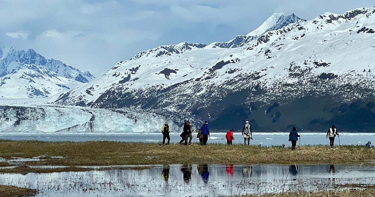 What Are the Best Experiences & Tours for Artists… | ALASKA.ORG