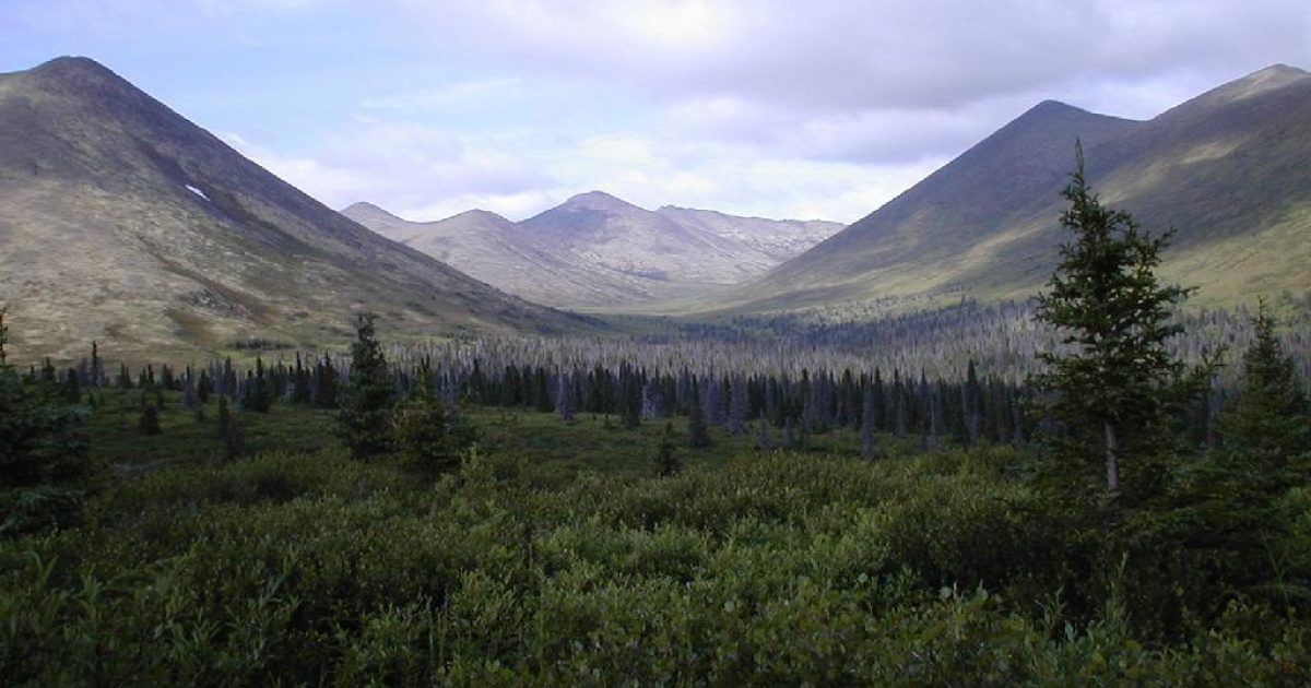 Things to Know Before Hiking the Resurrection Pass | ALASKA.ORG