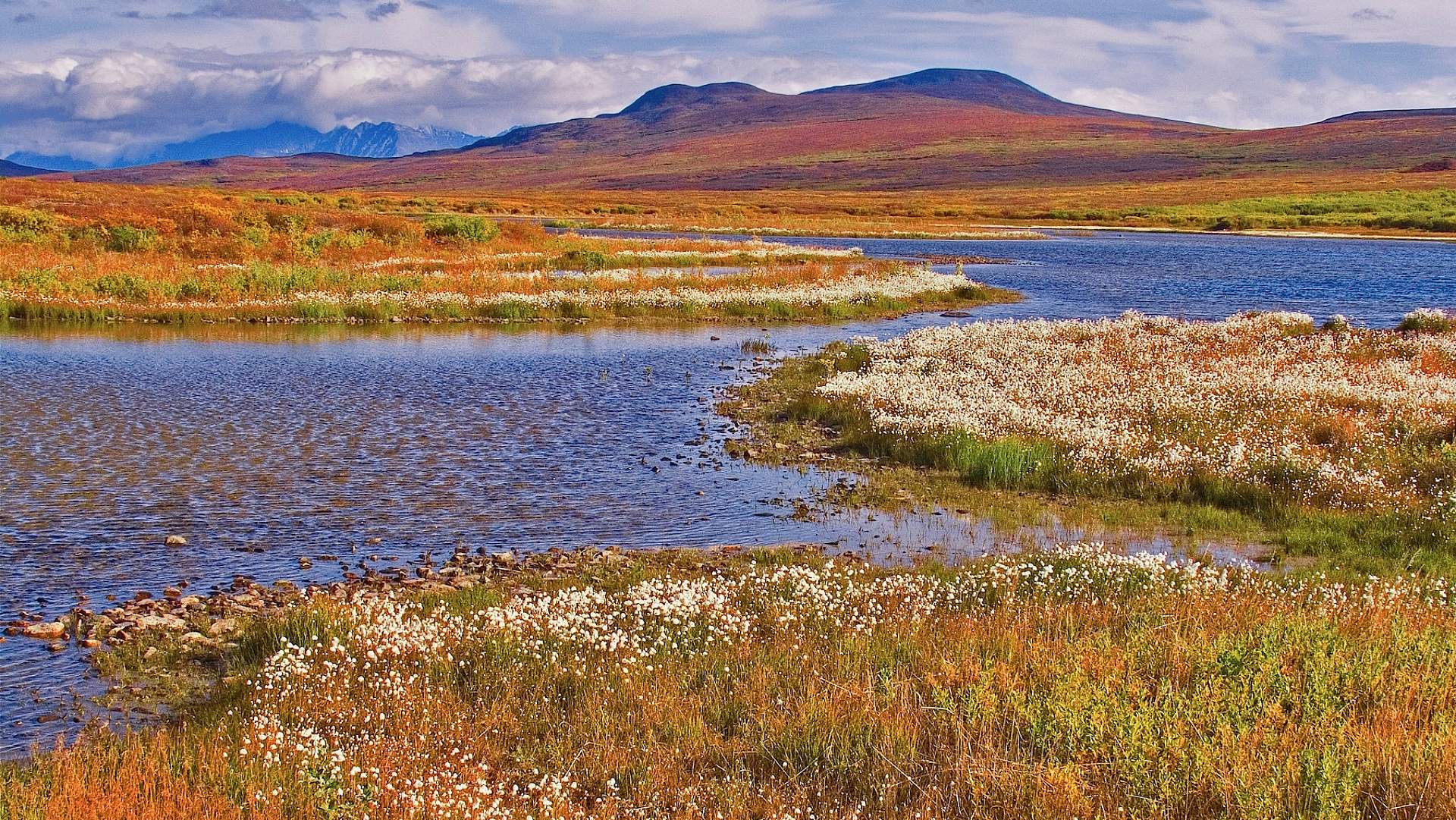 Driving the Denali Highway | A Fall Photography Journey | ALASKA.ORG