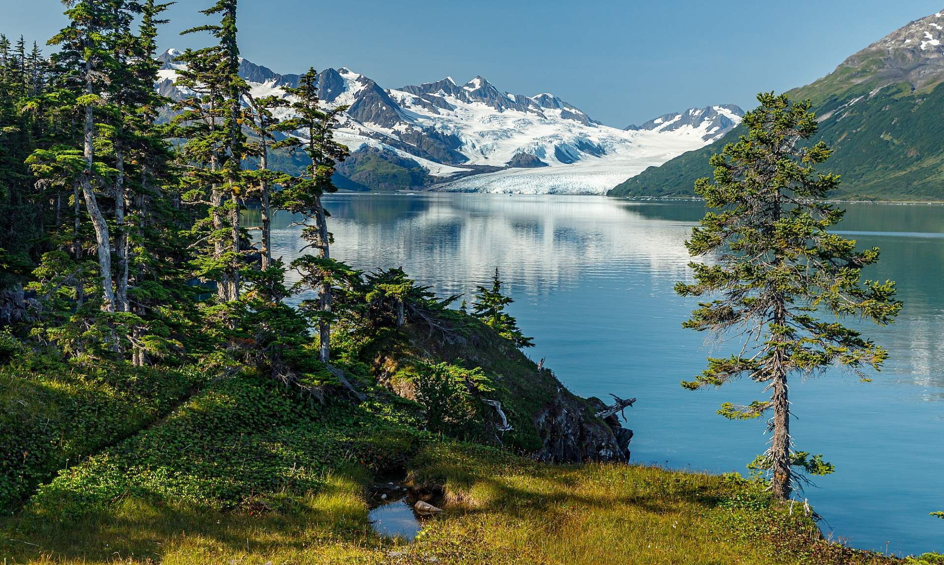 What a Glacier Tour of Prince William Sound is Really… | ALASKA.ORG