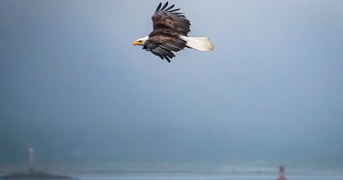 To Sleep in Nature | A Tale of Primitive Camping in… | ALASKA.ORG