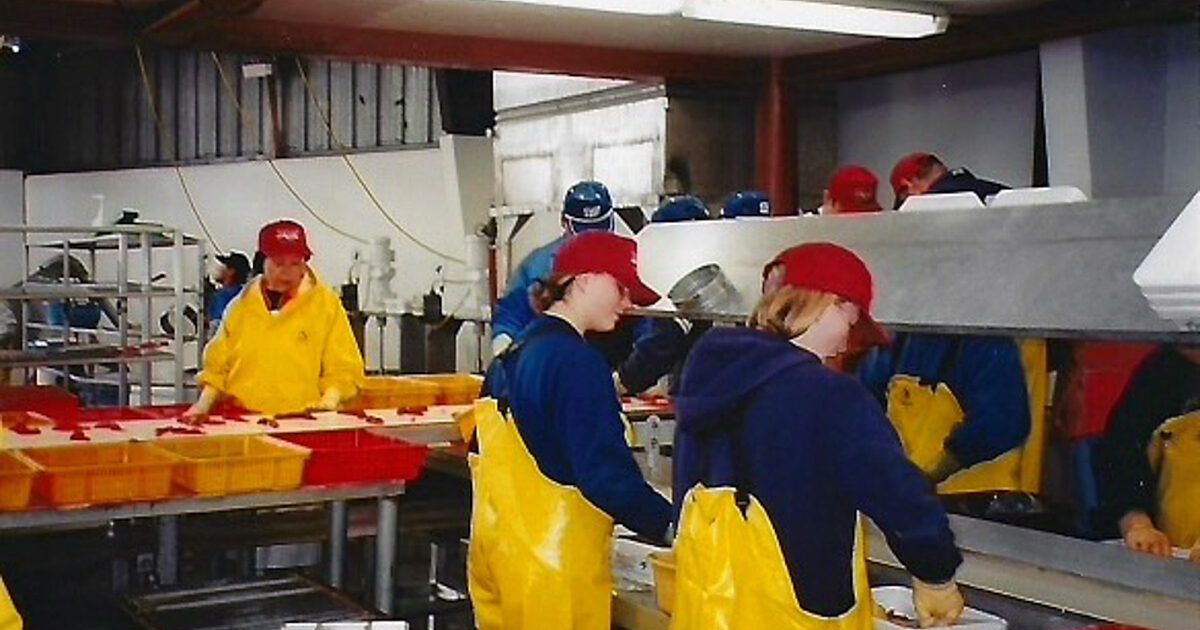 For My birthday, A Ribbon Binding All Things | ALASKA.ORG