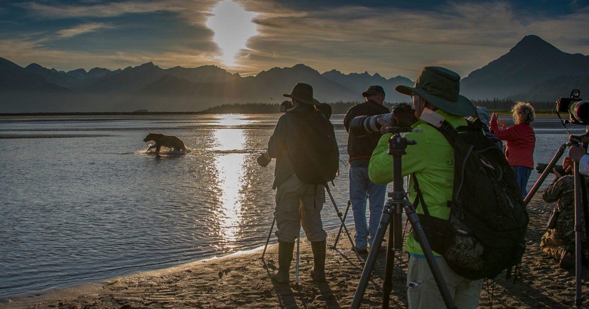Photography Tours | Workshops & Wildlife Photography | ALASKA.ORG