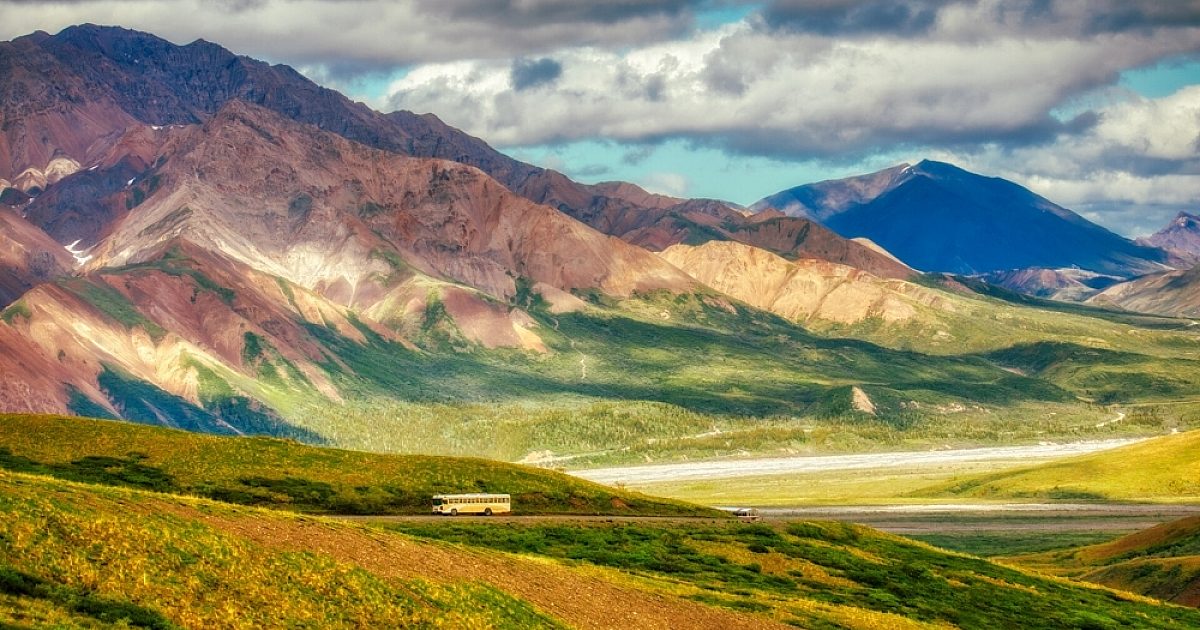 Denali National Park Motorcoach & Bus | ALASKA.ORG