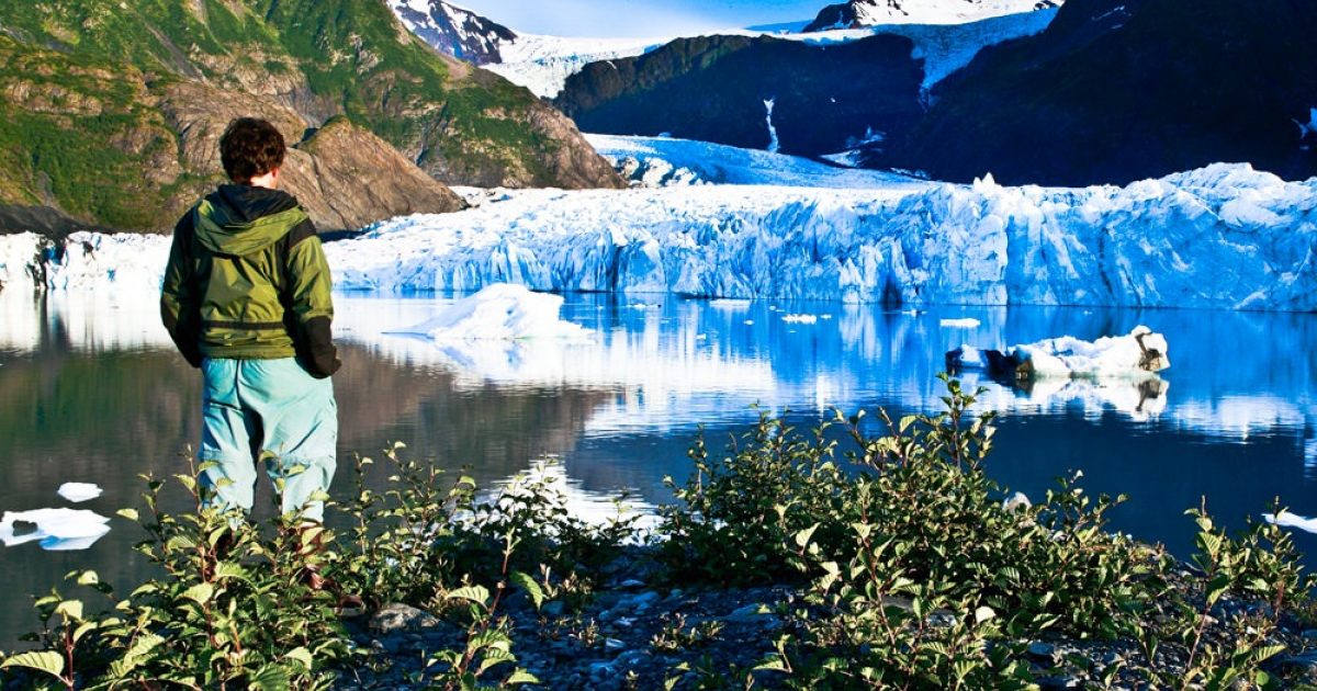 5 Day National Parks Highlights (Denali & Kenai Fjords)… | ALASKA.ORG