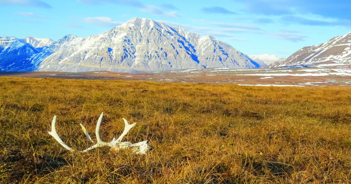 Far North/Arctic | ALASKA.ORG