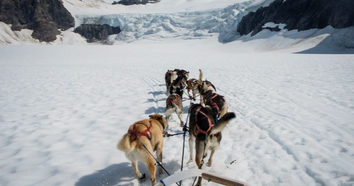 Anchorage Winter Activities | Best Winter Experiences | ALASKA.ORG