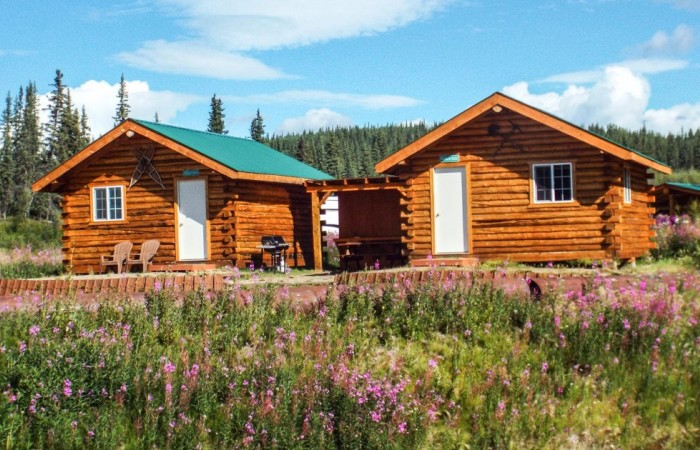 Chicken | ALASKA.ORG