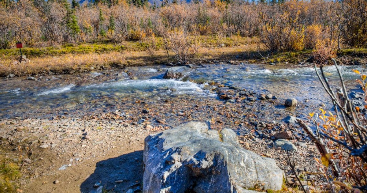 Denali National Park Campgrounds & RV Parks | Best Sites | ALASKA.ORG