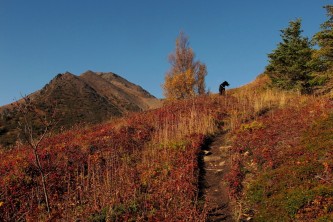 Hope Alaska | An Original Gold Rush Town | ALASKA.ORG