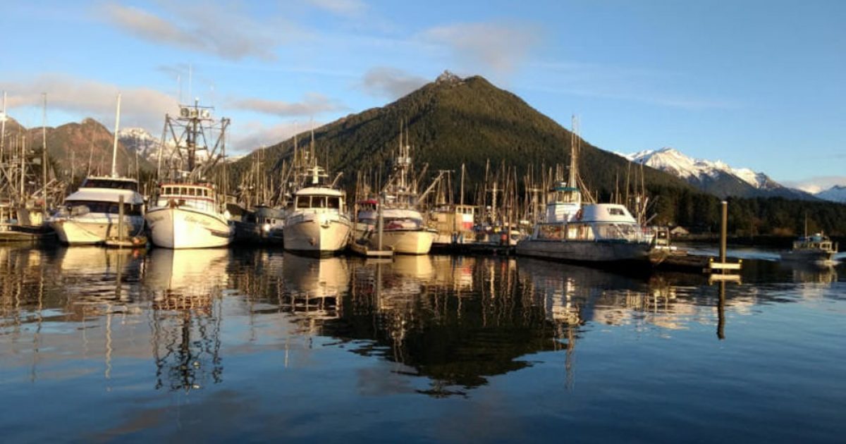 King Salmon | ALASKA.ORG