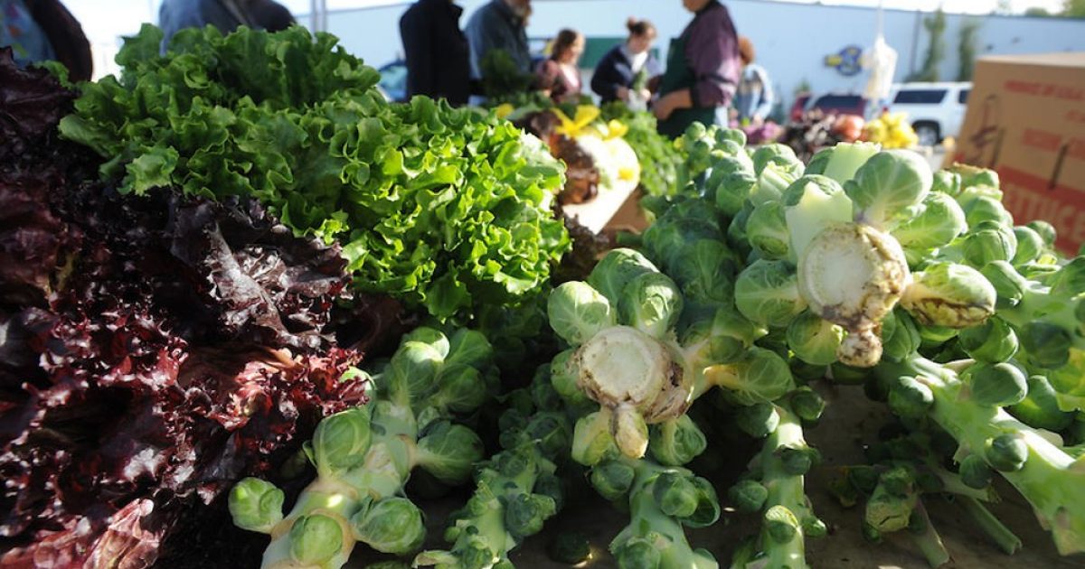 Palmer / Wasilla Area Winter City Sightseeing Tours | ALASKA.ORG