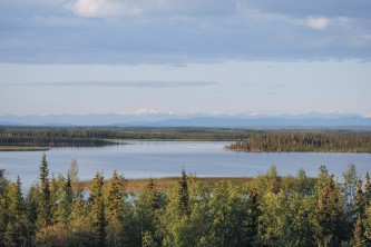Tok | Best Things to See & Do in Tok, Alaska | ALASKA.ORG