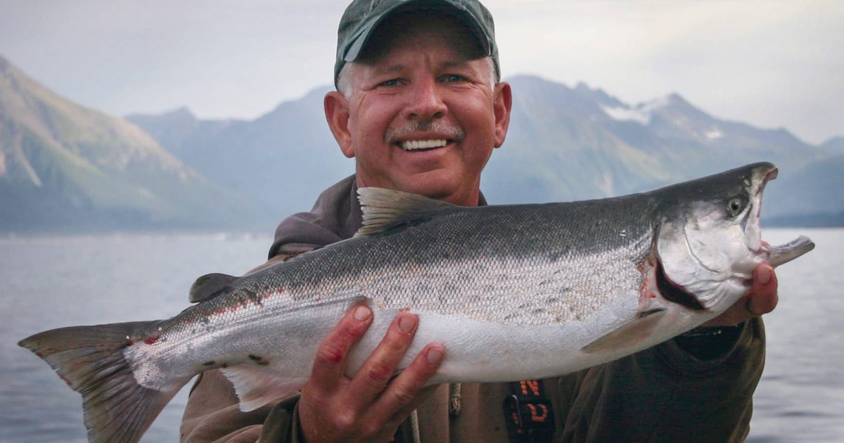 Salmon or Halibut? | ALASKA.ORG