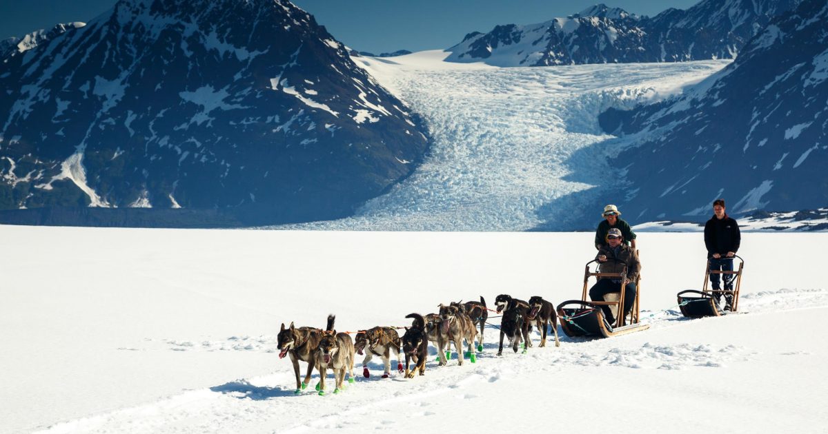 Anchorage Glacier Dog Sledding Tours | Mush on Snow in… | ALASKA.ORG