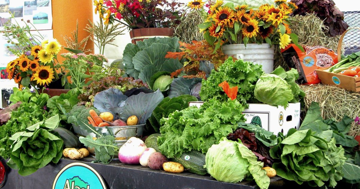 The Food You Must Try in Alaska | Alaskan’s Guide to… | ALASKA.ORG