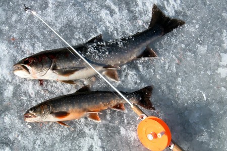 Alaska Ice Fishing | Excitement and Serenity of Winter… | ALASKA.ORG