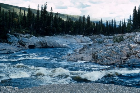 Tanana River Drainage Area Fishing Spots | ALASKA.ORG