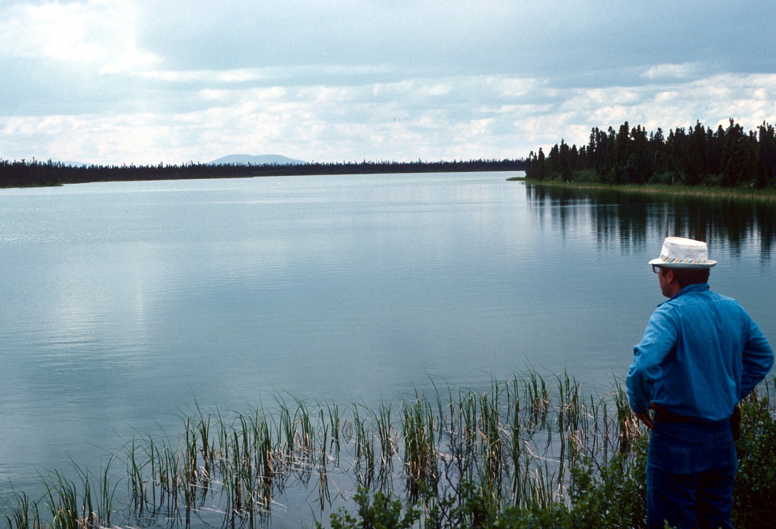 Mulchatna River | ALASKA.ORG