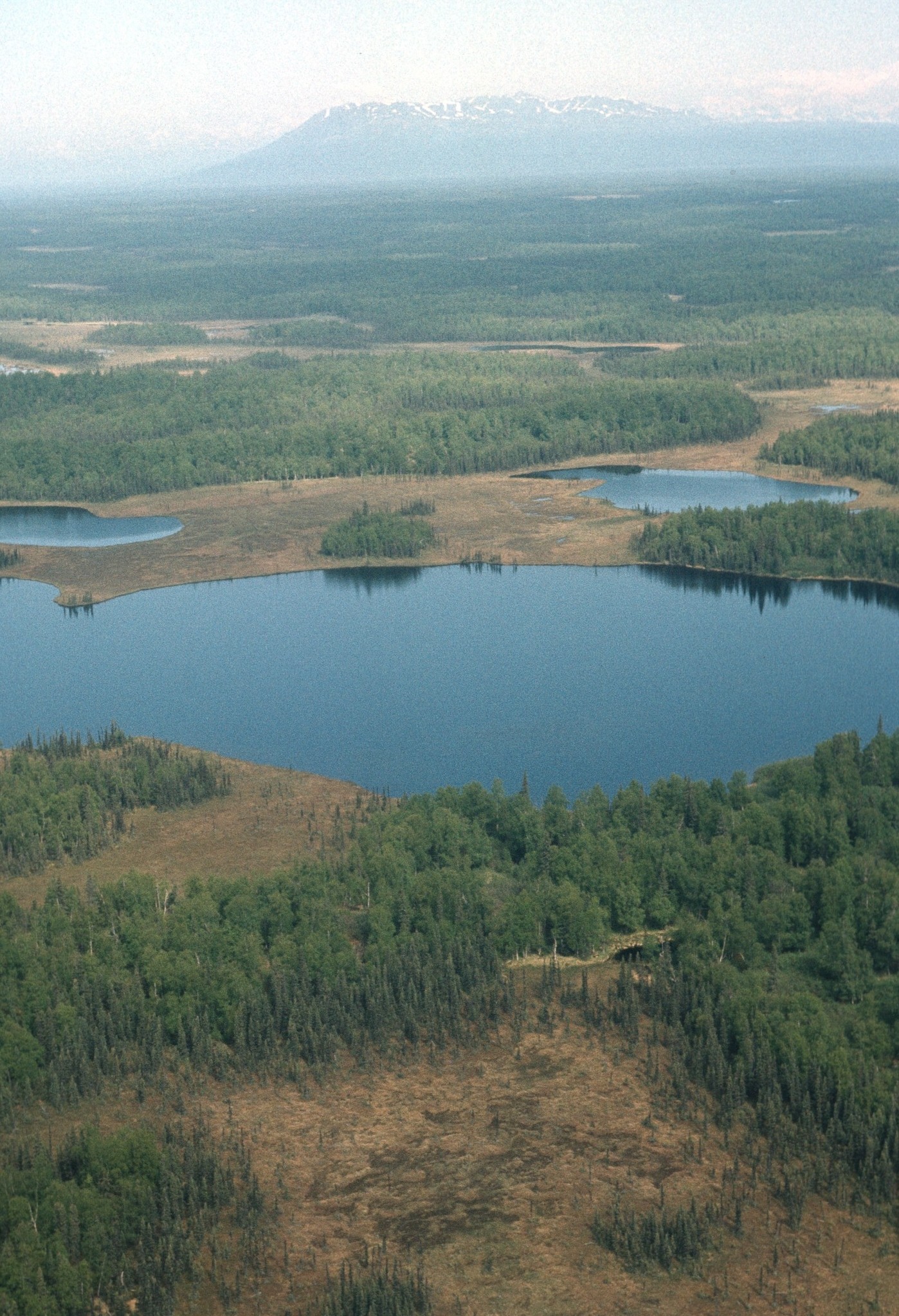 Kobuk River | ALASKA.ORG