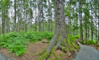 Auke Bay Recreational Area | ALASKA.ORG