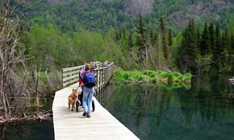 Albert Loop Trail | ALASKA.ORG