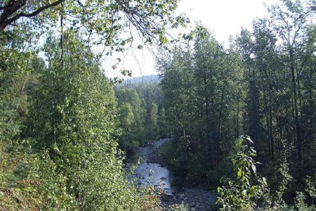 Denali State Park | Best Things To Do | ALASKA.ORG