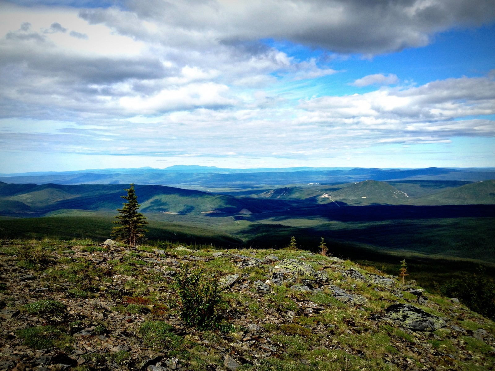 Wickersham Dome Trail | ALASKA.ORG