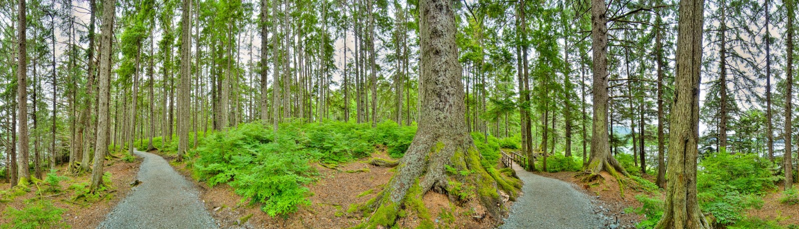Auke Bay Recreational Area | ALASKA.ORG