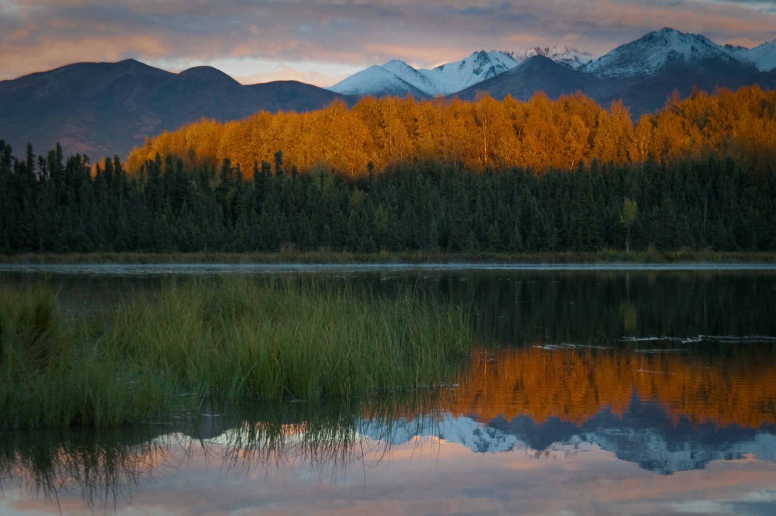 Chester Creek Trail | ALASKA.ORG