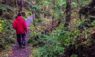 Perseverance Lake Trail | ALASKA.ORG