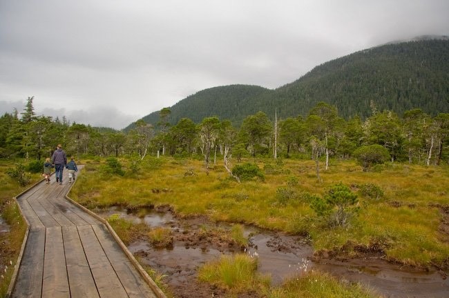 Forest & Muskeg Trail | ALASKA.ORG