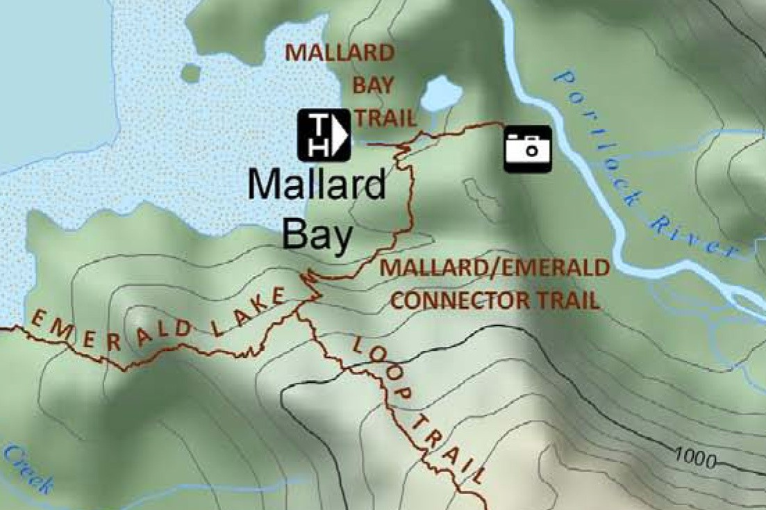 Mallard Bay Trail | ALASKA.ORG